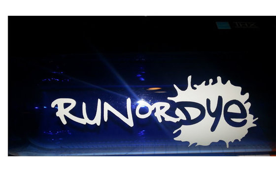 Promotional PVC / PET / PP / vinyl logo decal for motor decoration