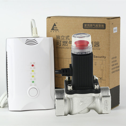 Auto natural gas leak monitor with self test and shutoff valve in case of emergency