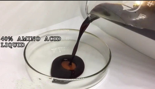 micro elements/nutrients organic fertilizer Amino Liquid for plants
