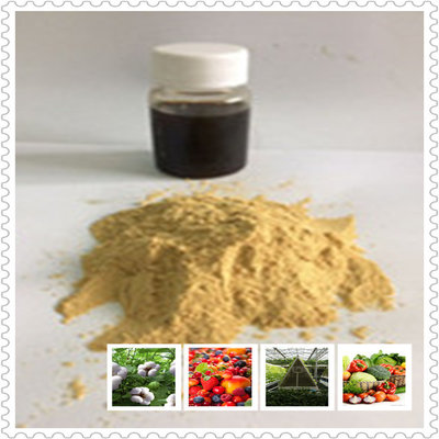 aminoacid plant based hydrolysate Amino Acid Powder 40% 50% 60% 70% 80% Fertilizer Foliar Drip Irrigation