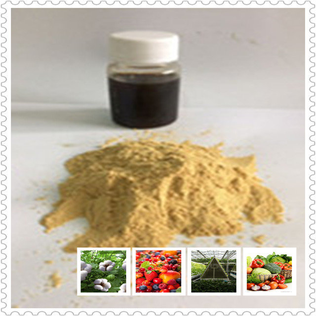 aminoacid plant based hydrolysate Amino Acid Powder 40% 50% 60% 70% 80% Fertilizer Foliar Drip Irrigation