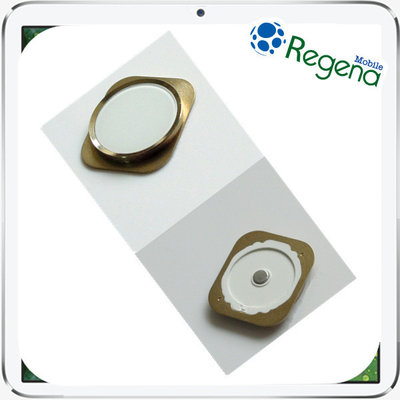 White iPhone 5S Spare Parts Apple iPhone Home Button Repairing