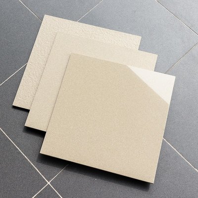 Non Slip Polished Salt And Pepper Tiles 60 X 60 Wall Tiles In Living Room