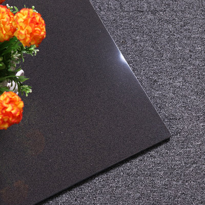 Rough Surface Salt And Pepper Tiles 600 x 600mm Porcelain Tiles Acid Resistant