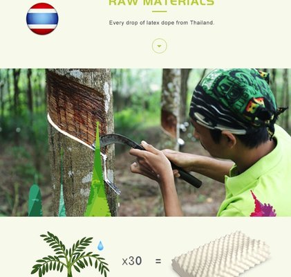 factory supply Sleeping natural Latex Pillow From Thailand Latex Produc  by SGS test