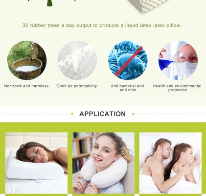 factory supply Sleeping natural Latex Pillow From Thailand Latex Produc  by SGS test