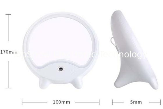 Desktop LED Light Makeup Mirror Mist Humidifier For Beauty Salon