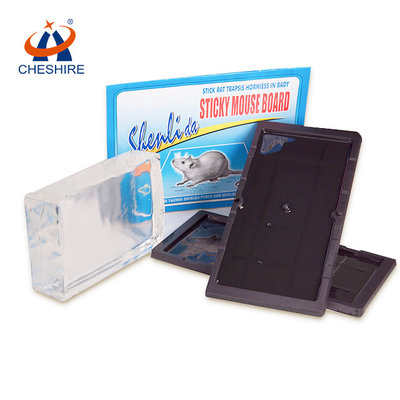 Cheshire hot melt adhesives glue for rat sticky traps/mouse traps supplier