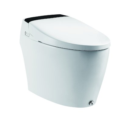 China F11 Bathroom intelligent smart electric one piece bidet toilet supplier