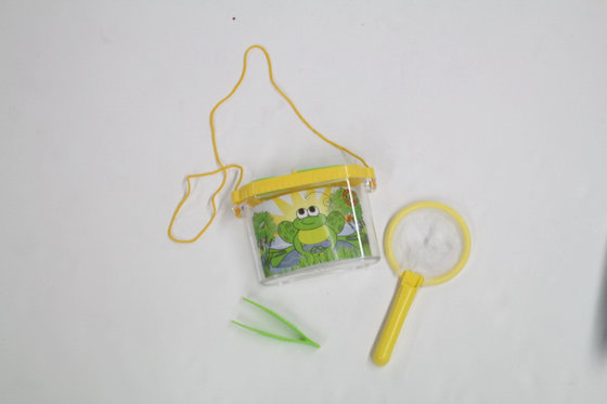 Étude des insectes magnifiant des kits de découverte d'insecte avec le filet, brucelles