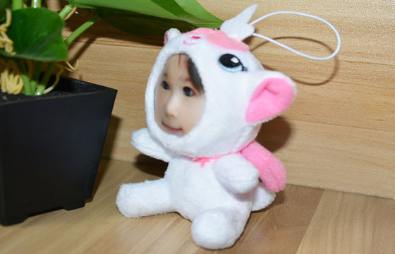 White 10CM DIY 3D Face Stuffed Plush cat stuffed dolls with photo faces