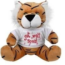 La peluche adaptée aux besoins du client joue le tigre de Brown avec le jouet de peluche d'insigne