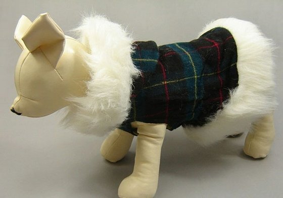 Teckels, vêtements de chien de caniches et habillement avec le logo impression ou de broderie