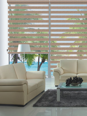 High Quality Home Decoration chicology zebra blind and shade motorized for sliding door customized