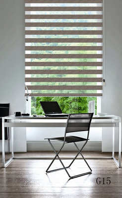 2020 High Quality Home Decoration zebra blind cordless for windows Customized size