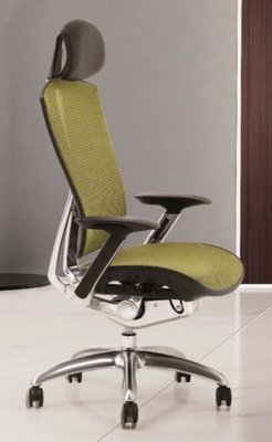 New Design Mesh Ergonomic Executive Chair with Adjustable Back Support
