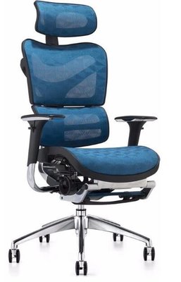 New Design Executive China Ergonomic Mesh Chair with Footrest