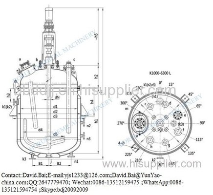 5000L Glass Lined Rector