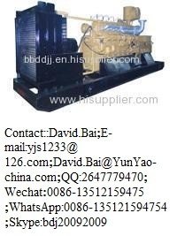 Biomass generator set Biomass generator set