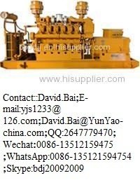 Biomass generator set Biomass generator set