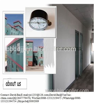 copper alloy or stainless steel precision pressure gauge movement
