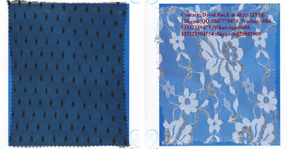 Nylon Lace Fabric
