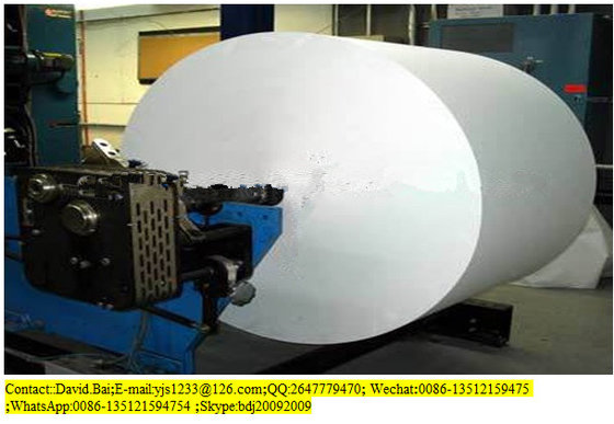 Food Grade PE Coated paper