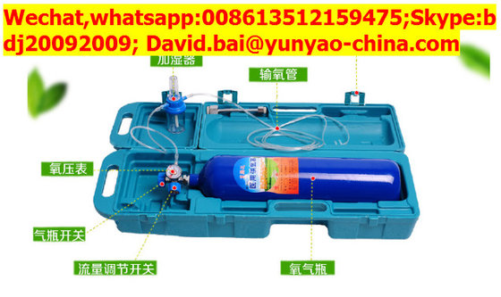 2/3/4/7/10/15L Steel oxygen cylinder with portable case and accessar