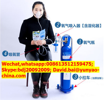 2/3/4/7/10/15L Steel oxygen cylinder with portable case and accessar