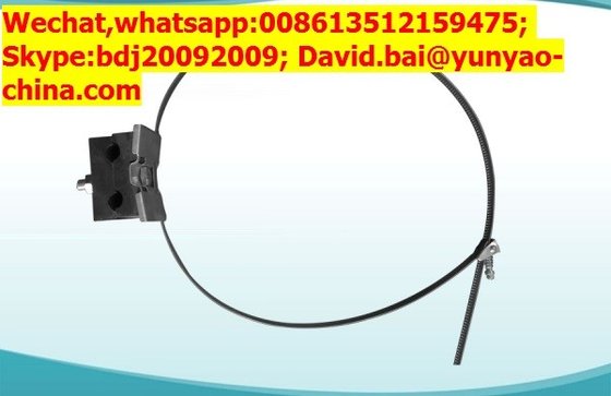 Down lead clamp for pole