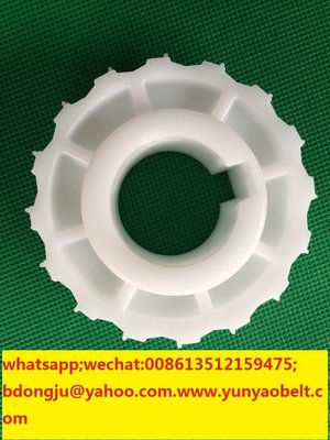 Plastic Chain Conveyor Belt for industry/Belt Conveyor