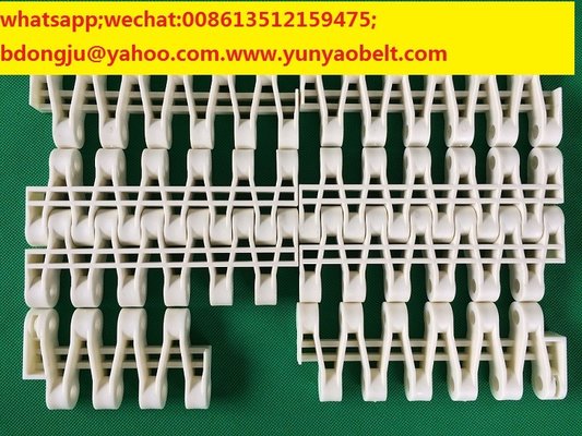 chain conveyor belt/Assembling plastic chain conveyor belt