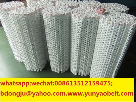 chain conveyor belt/Assembling plastic chain conveyor belt