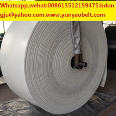 PVC, PP, PU Plastic chain conveyor beltfrom chinese factory