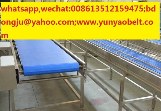 Hard-wearing transparent PE conveyor belt for food/medical
