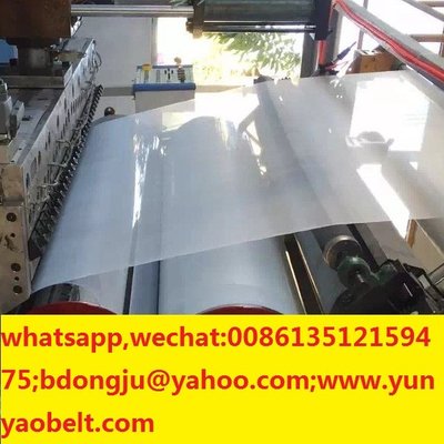 Hard-wearing transparent PE conveyor belt for food/medical