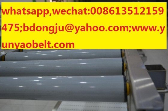 new white PP or PE conveyor belts for poultry manure