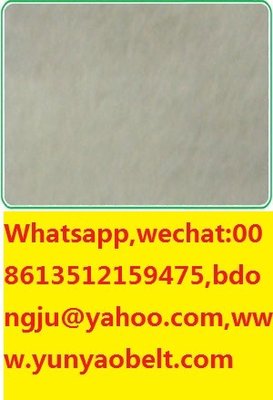 Polyester material linear screen wire mesh belt for food drying
