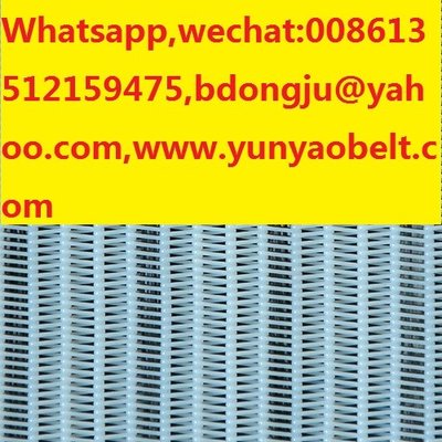 Polyester material linear screen wire mesh belt for food drying