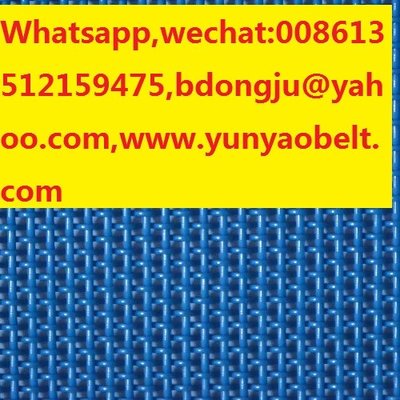 Polyester material linear screen wire mesh belt for food drying
