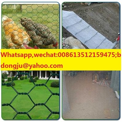 Hexagonal Wire Netting