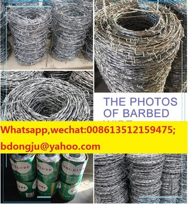 Barbed Wire