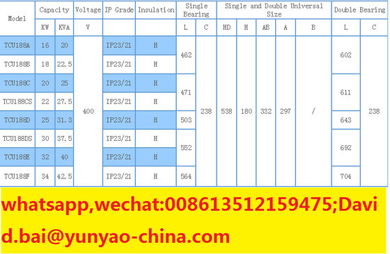 TCU188 Series Land use medium voltage generator from chinese factory