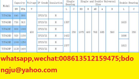 TCU428 Series medium voltage submarine generator from chinese factory