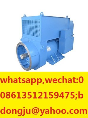 IP55 Series Special generator from chinese factory
