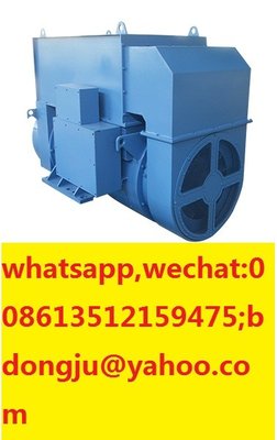 IP55 Series Special generator from chinese factory