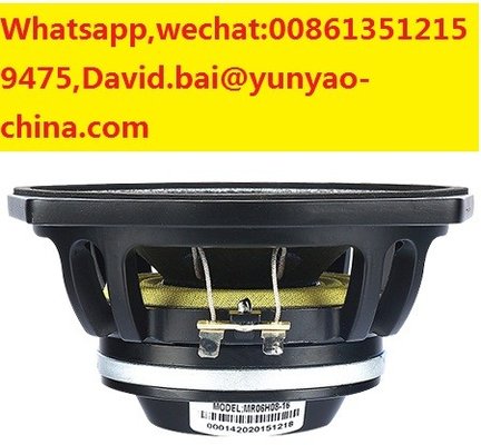 neodymium 10 inch line array outdoor subwoofer speaker