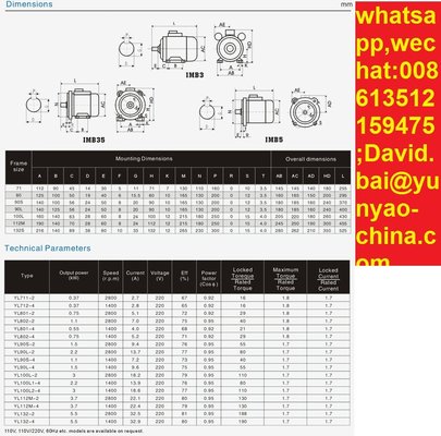 YL series two value capacitor asynchronous motor
