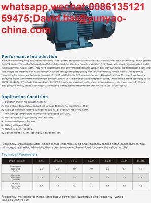 YP/YVP Series Variable-frequency control three phase asynchronous motor