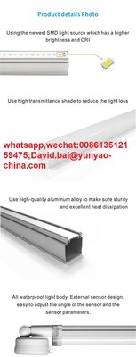 Tri-proof sensor LED Fitting